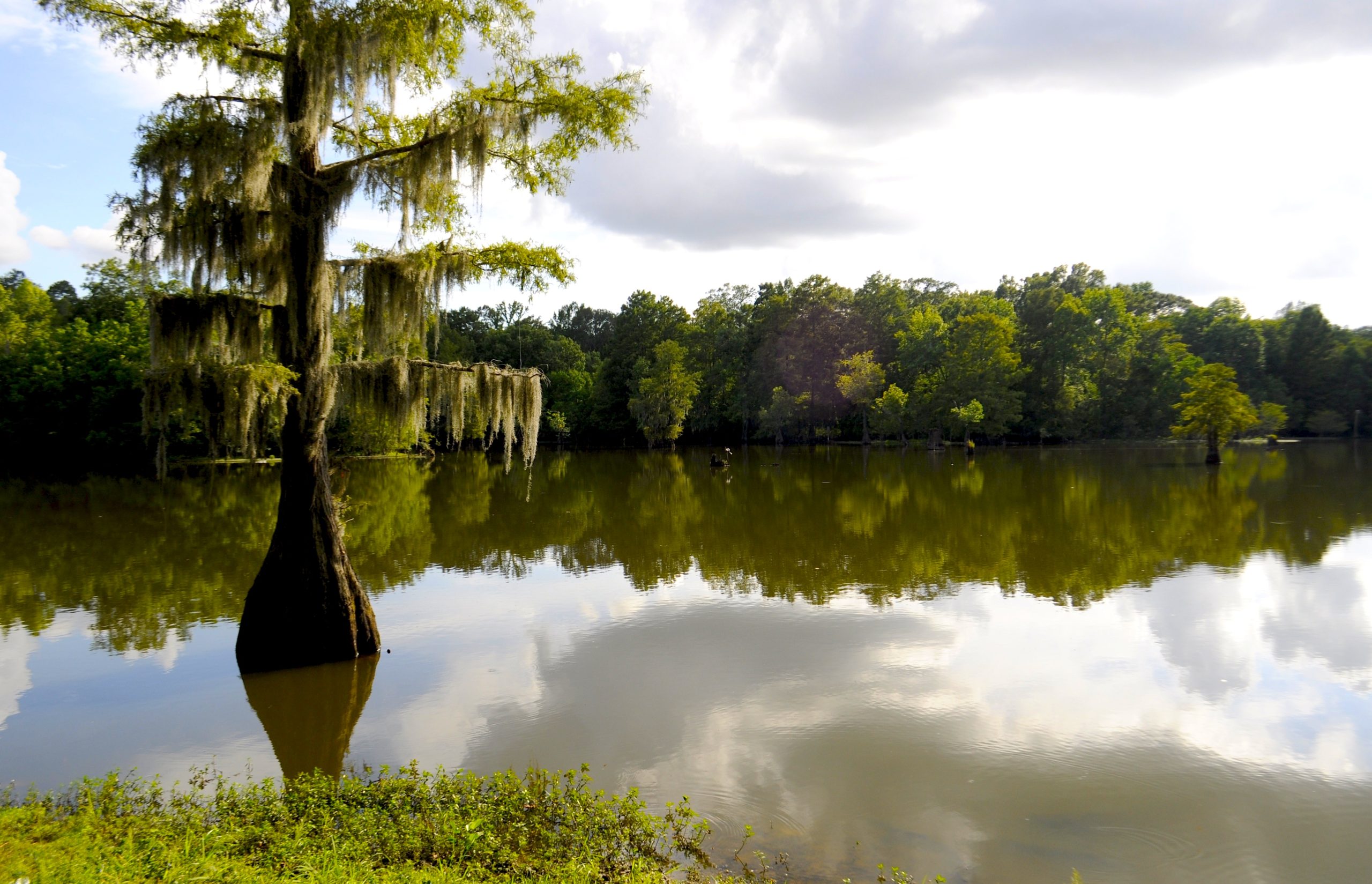 Hidden Spots for Kids - Mississippi Free Press