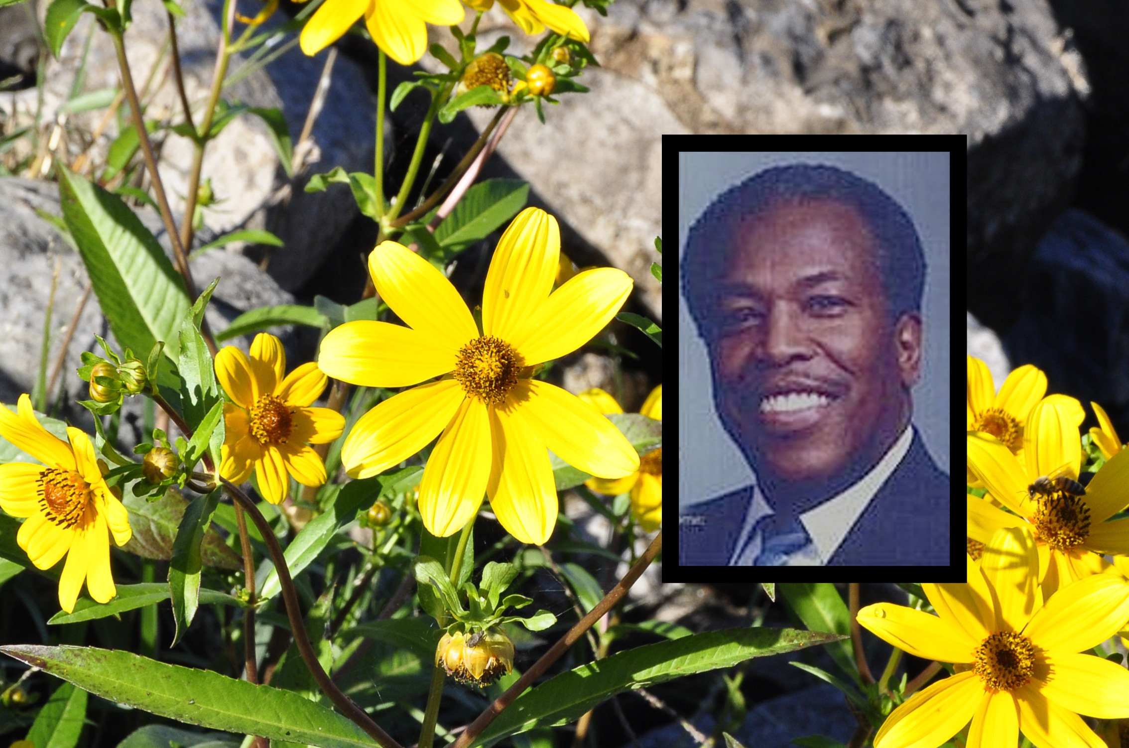 Dr. Haskell S. Bingham - Mississippi Free Press