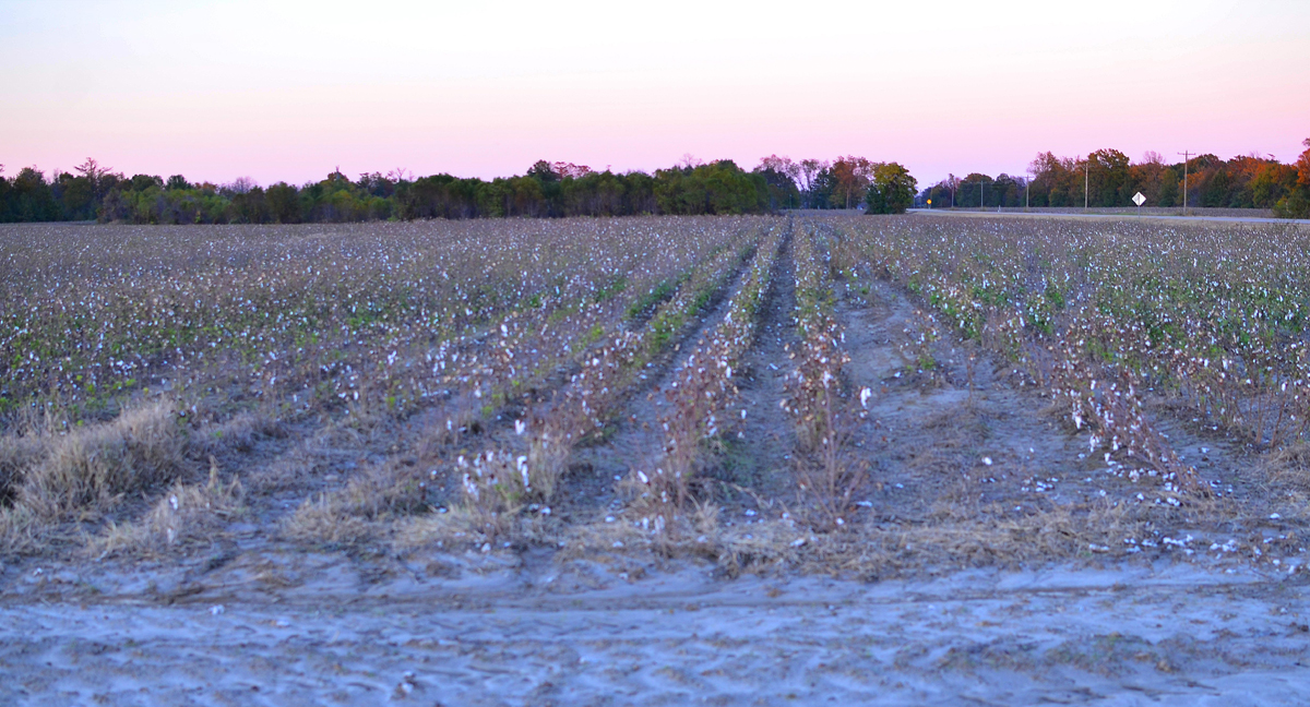 Banking on Justice: Climbing Out of Poverty in the Mississippi Delta ...