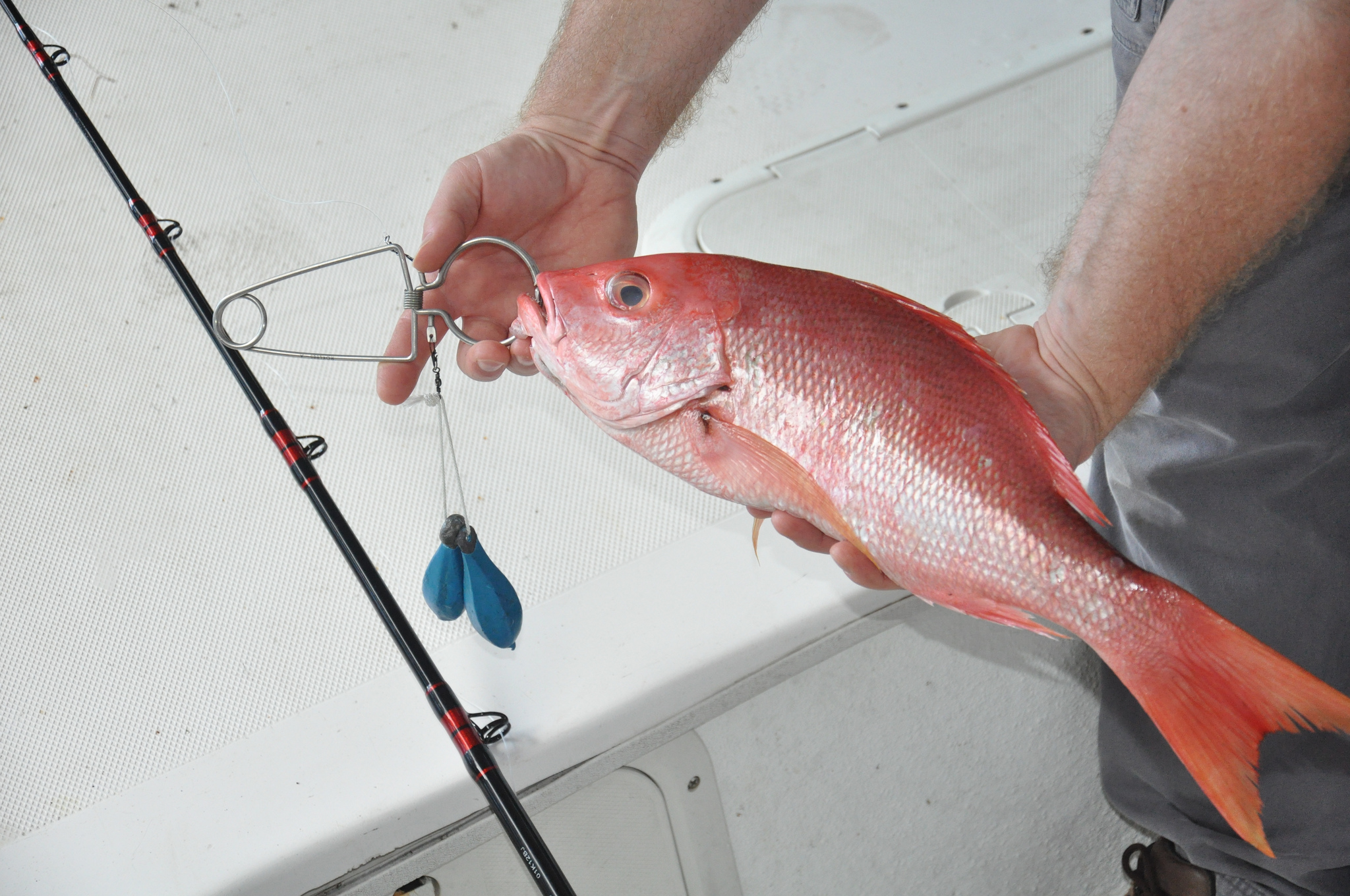 Two Groups Sue Feds for Extending Anglers' Red Snapper Season ...