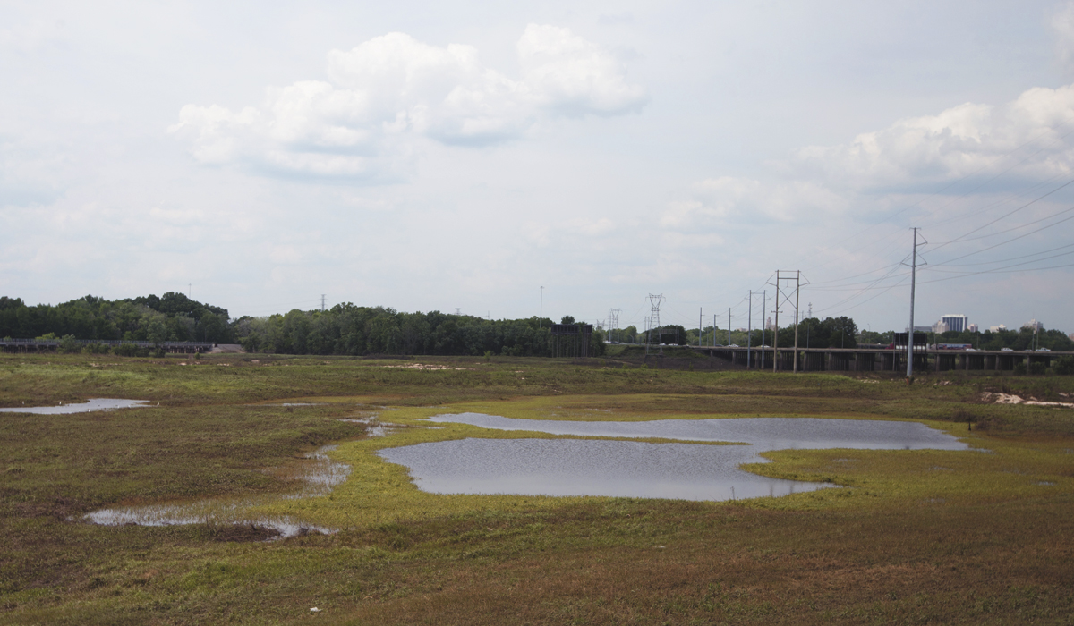 Coalition Forms Against ‘One Lake’ Proposal - Mississippi Free Press