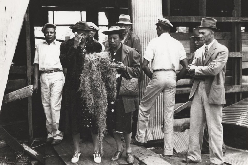 Rhythm Night Club Fire: Tragedy Devastated Young Black Natchez