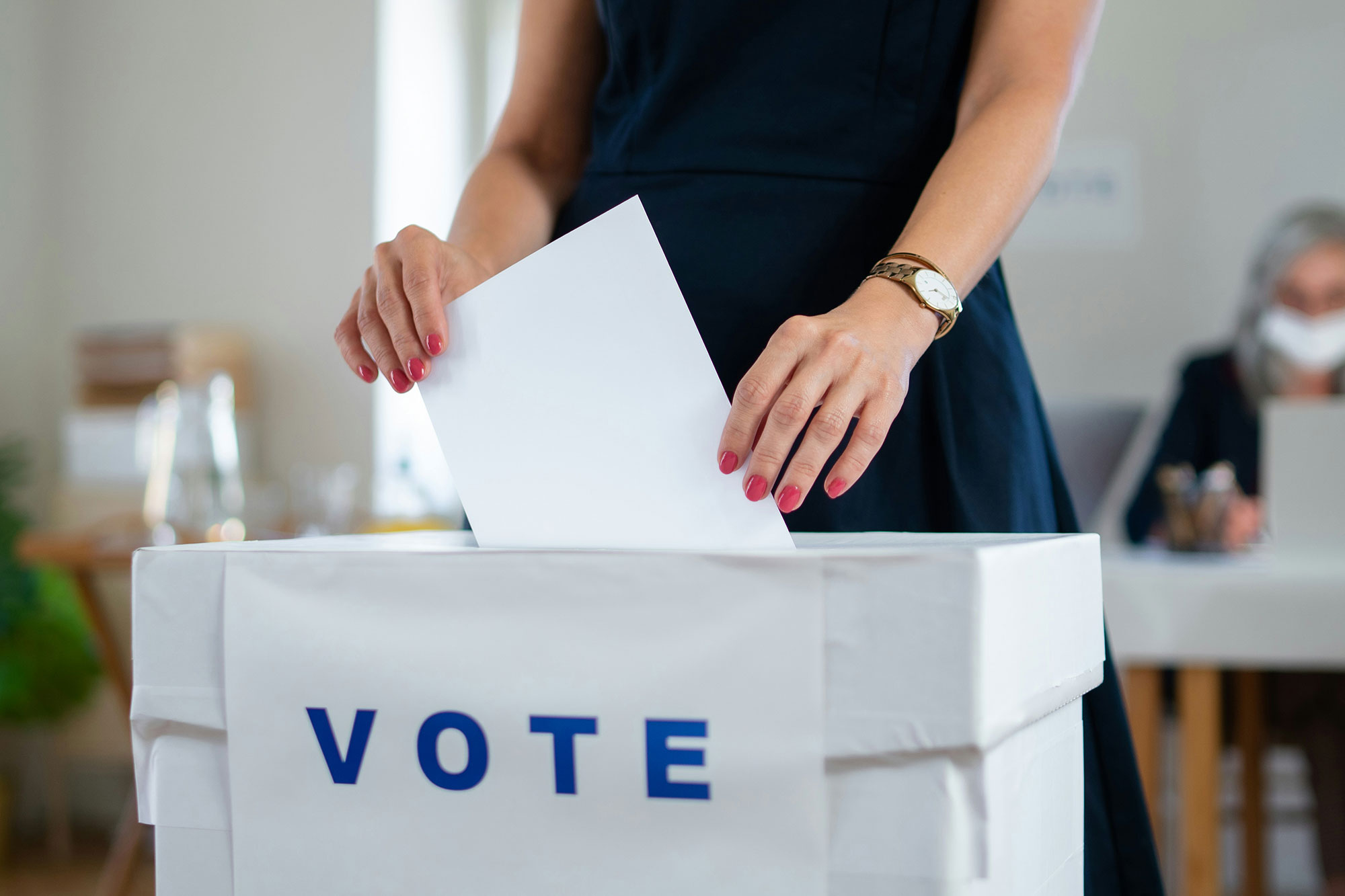 Which Offices Are on the Nov. 5 Ballot and What They Do