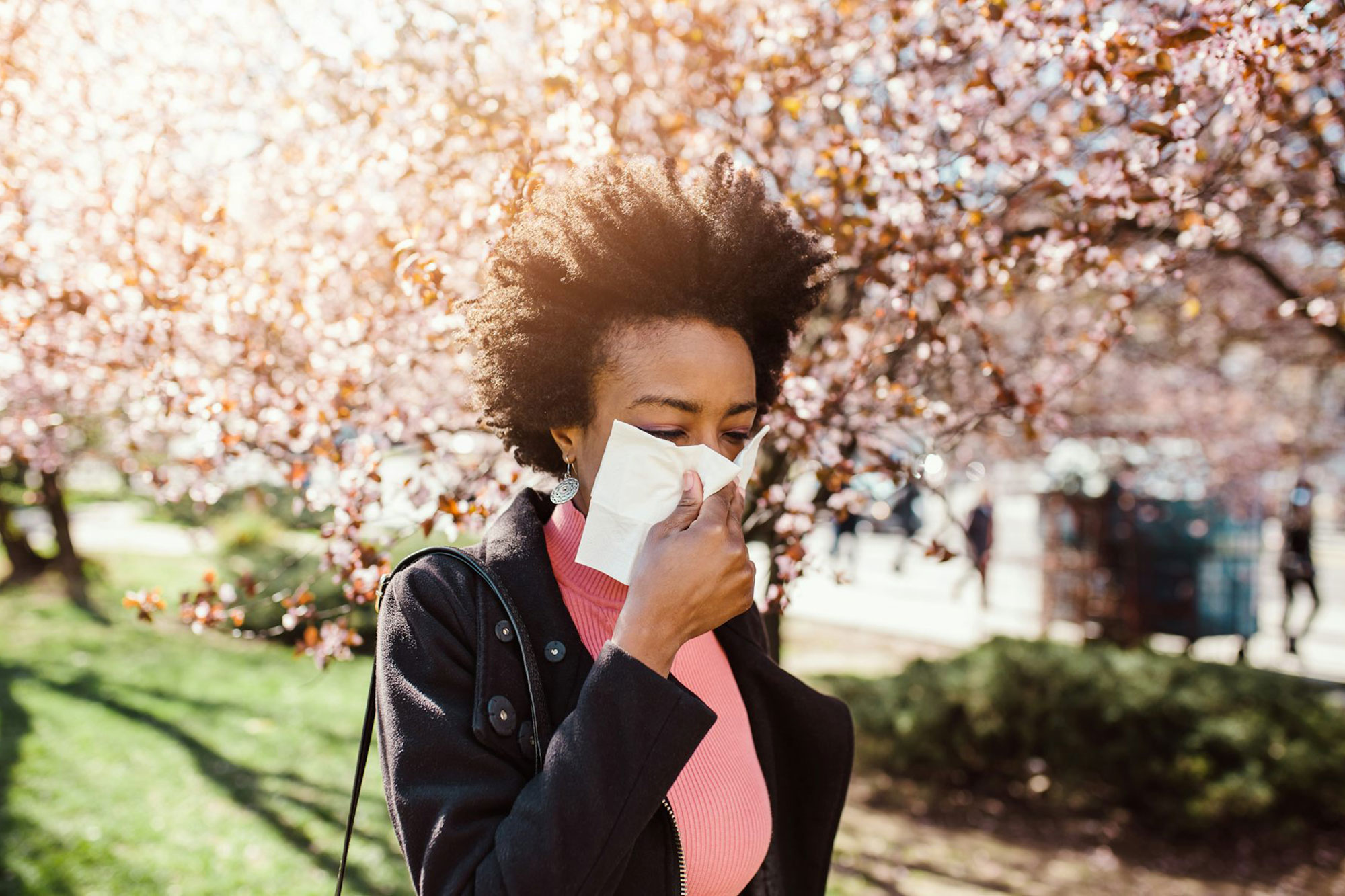Opinion | Windy Days Create the Perfect Pollen Storm