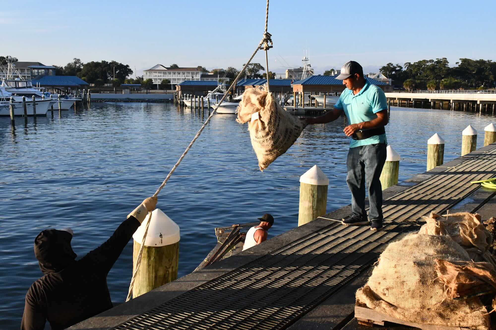Gulf Shrimpers See Movement on Federal Seafood Labeling Laws